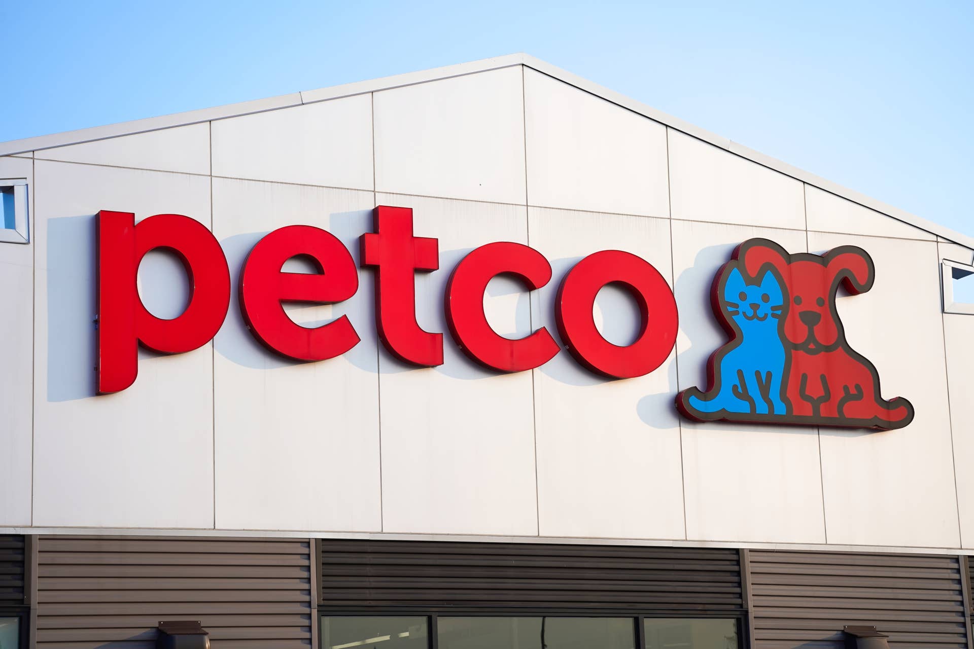 Petco's Cutesy Cat Scratcher Is So 'Sturdy' - PetHelpful
