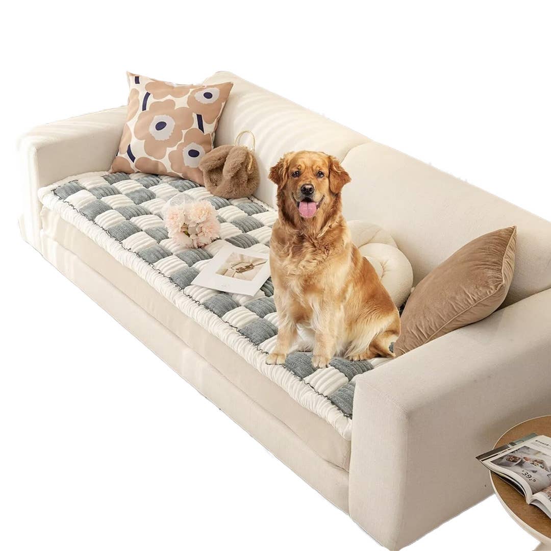 Amazon’s Amtarp Dog Couch Protector Is a Must-Have - PetHelpful