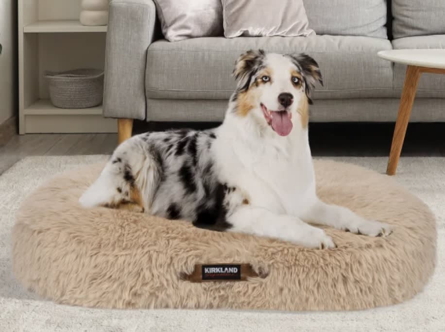Costco Shoppers Love Kirkland’s Aero Cloud Pet Bed - PetHelpful