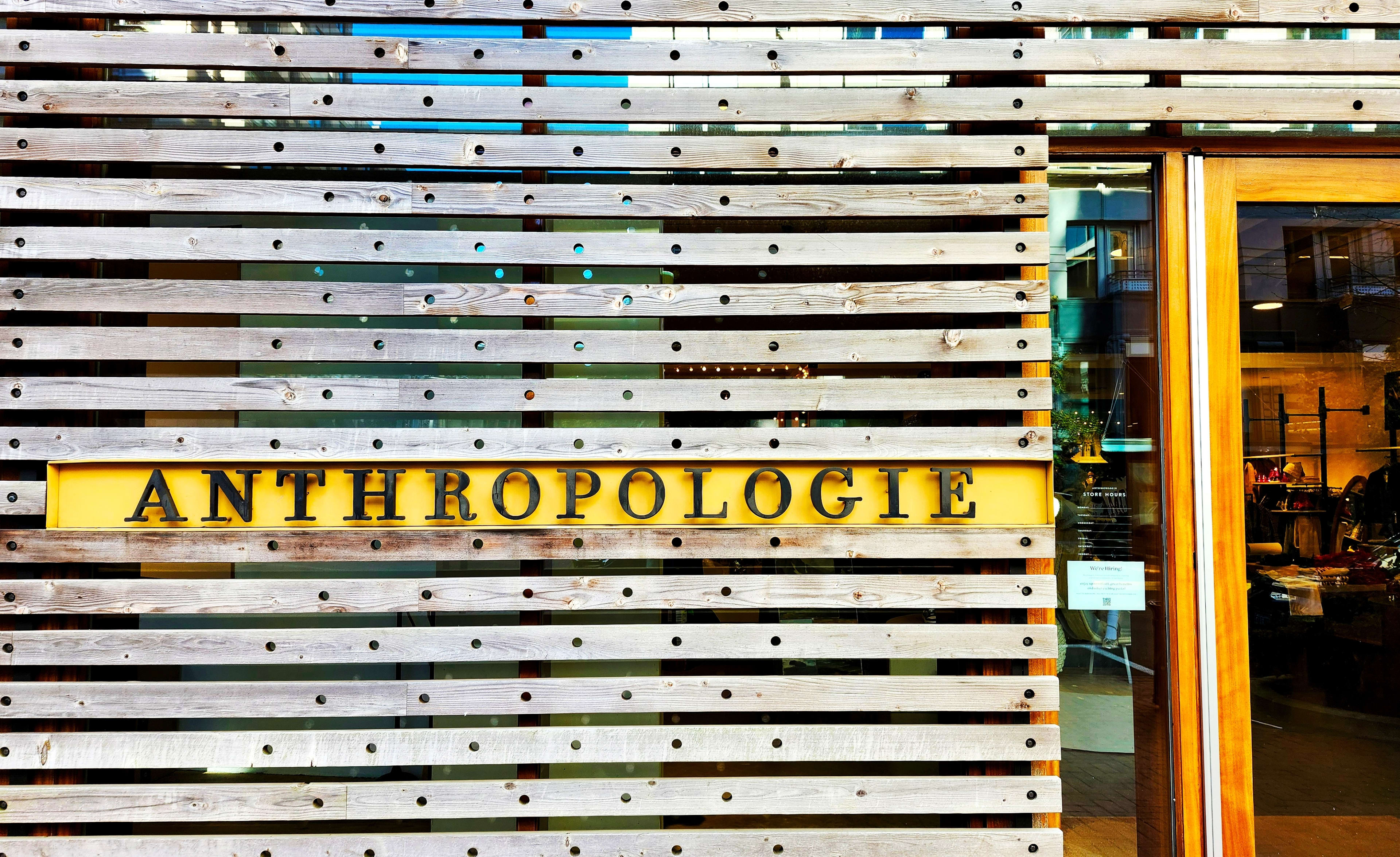 Anthropologie Is Selling a Sleek Pet Gate That Has Shoppers Raving ...