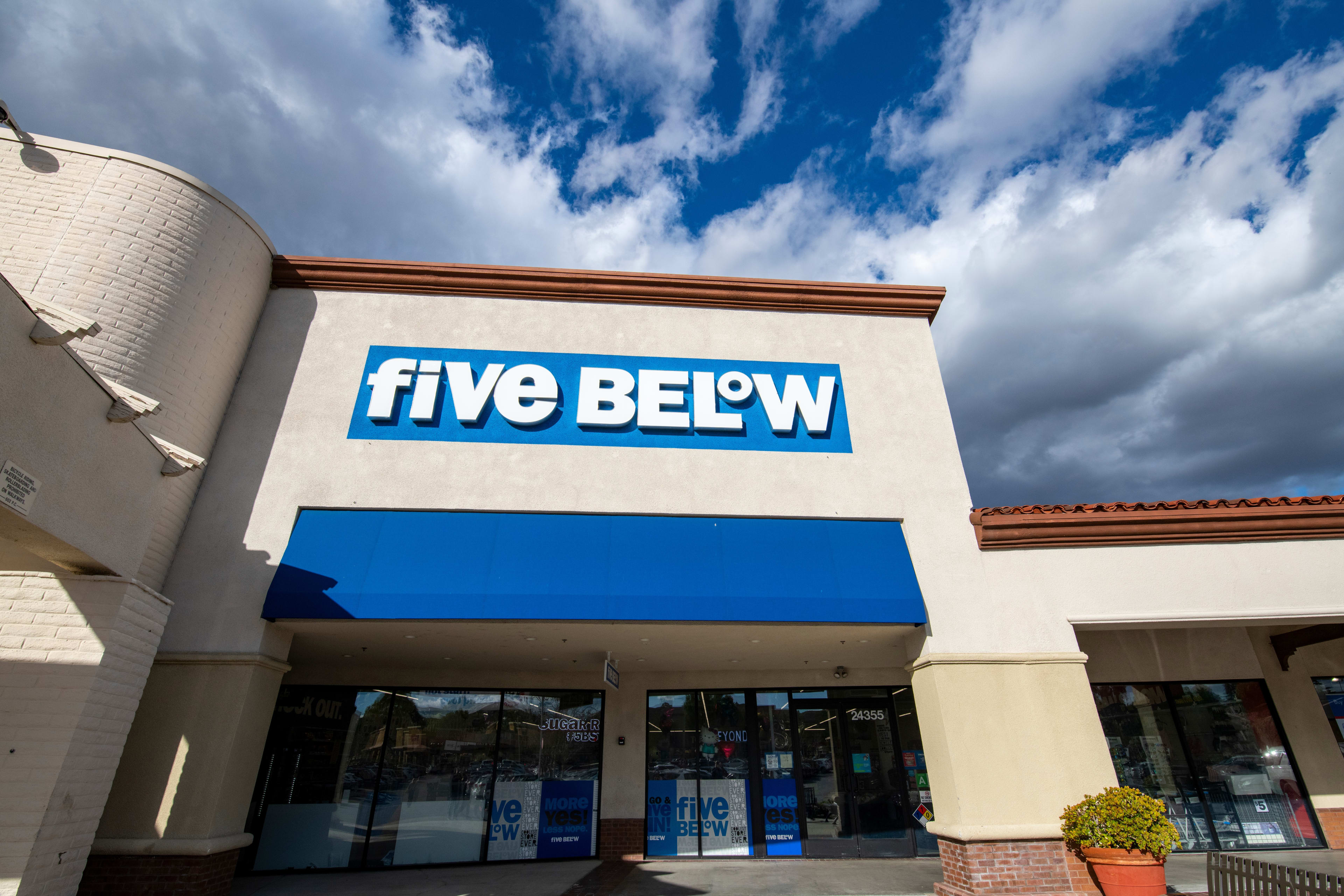 Fish and Chips Pet Toy Gives Total Snack-That-Smiles-Back Energy ...