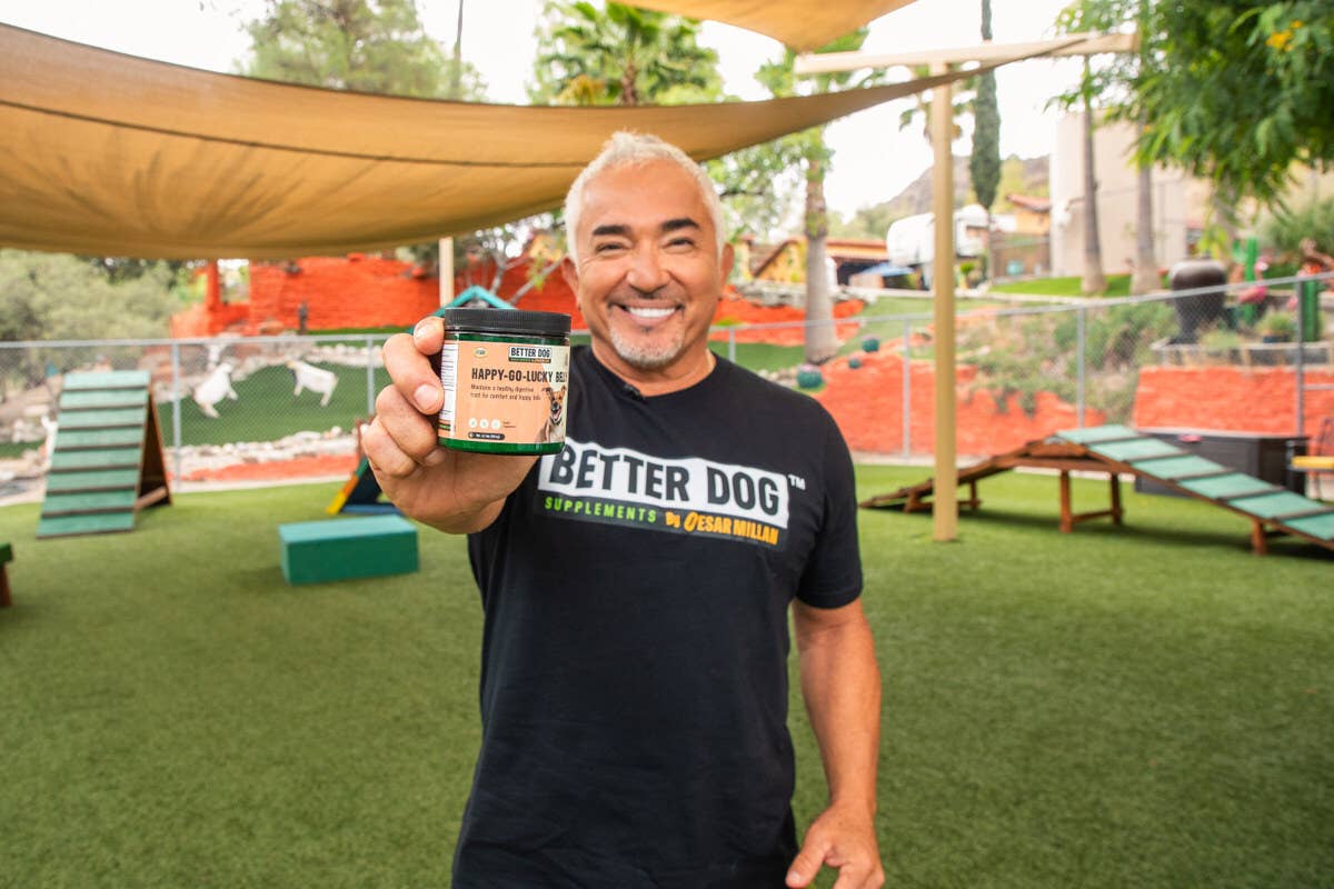 'Dog Whisperer' Cesar Millan Debuts New Line of Pet Supplements ...