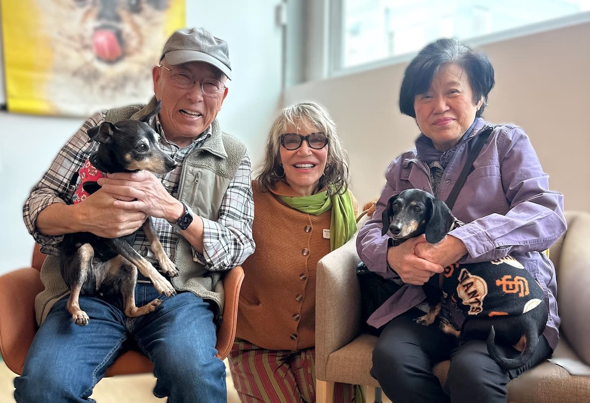 Gray Muzzles, Sharp Minds: the San Francisco 'Cuddle Club' Where ...