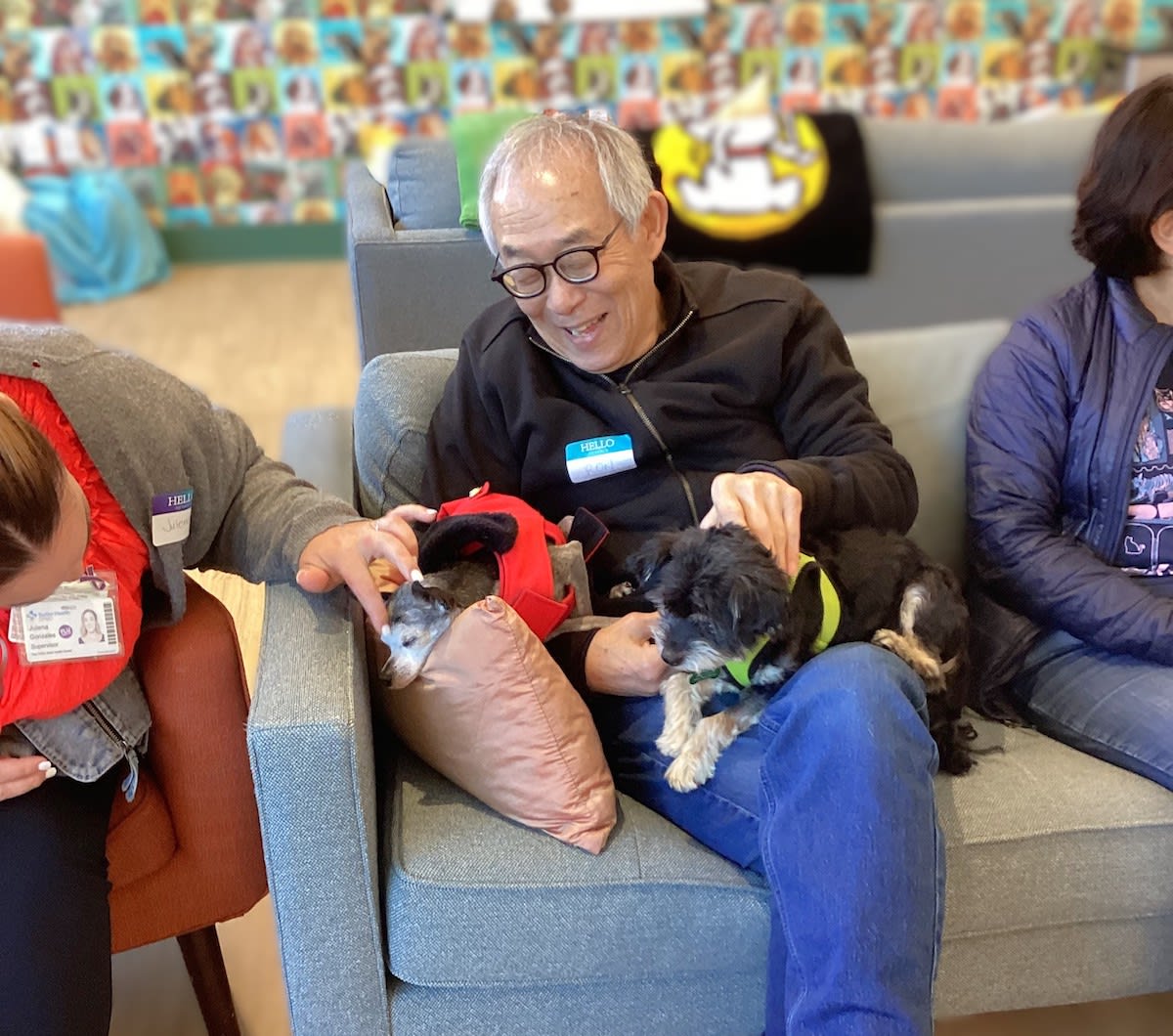 Gray Muzzles, Sharp Minds: the San Francisco 'Cuddle Club' Where ...