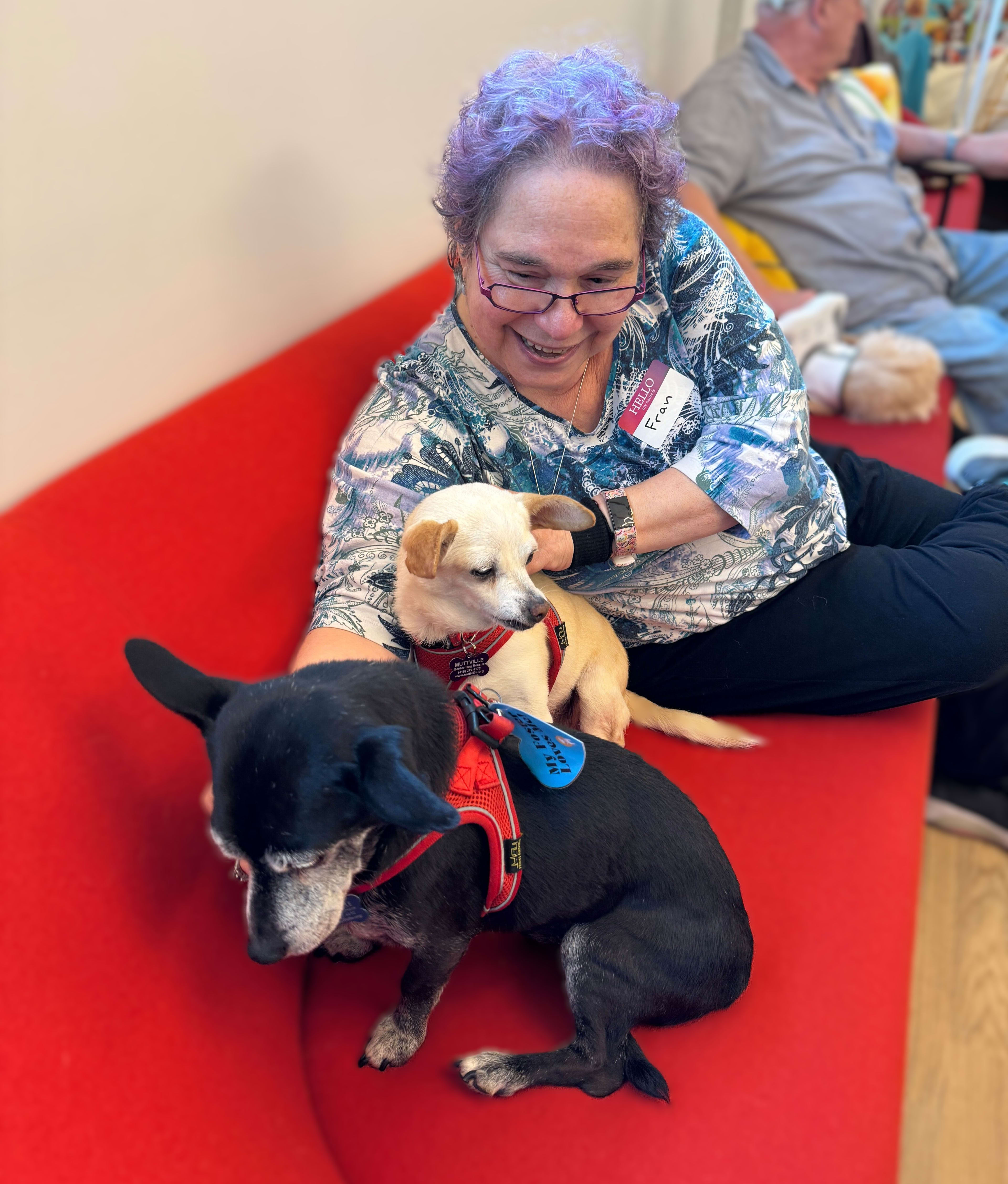 Gray Muzzles, Sharp Minds: the San Francisco 'Cuddle Club' Where ...