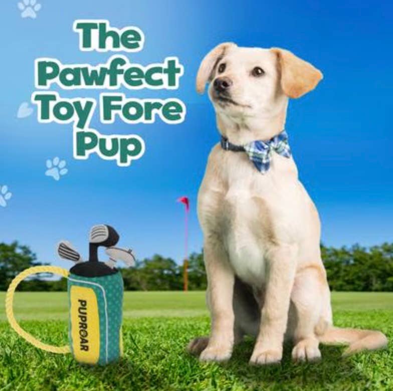 Chewy’s Golf Club Dog Toy Is a ‘Hole-in-One’ for Playtime - PetHelpful