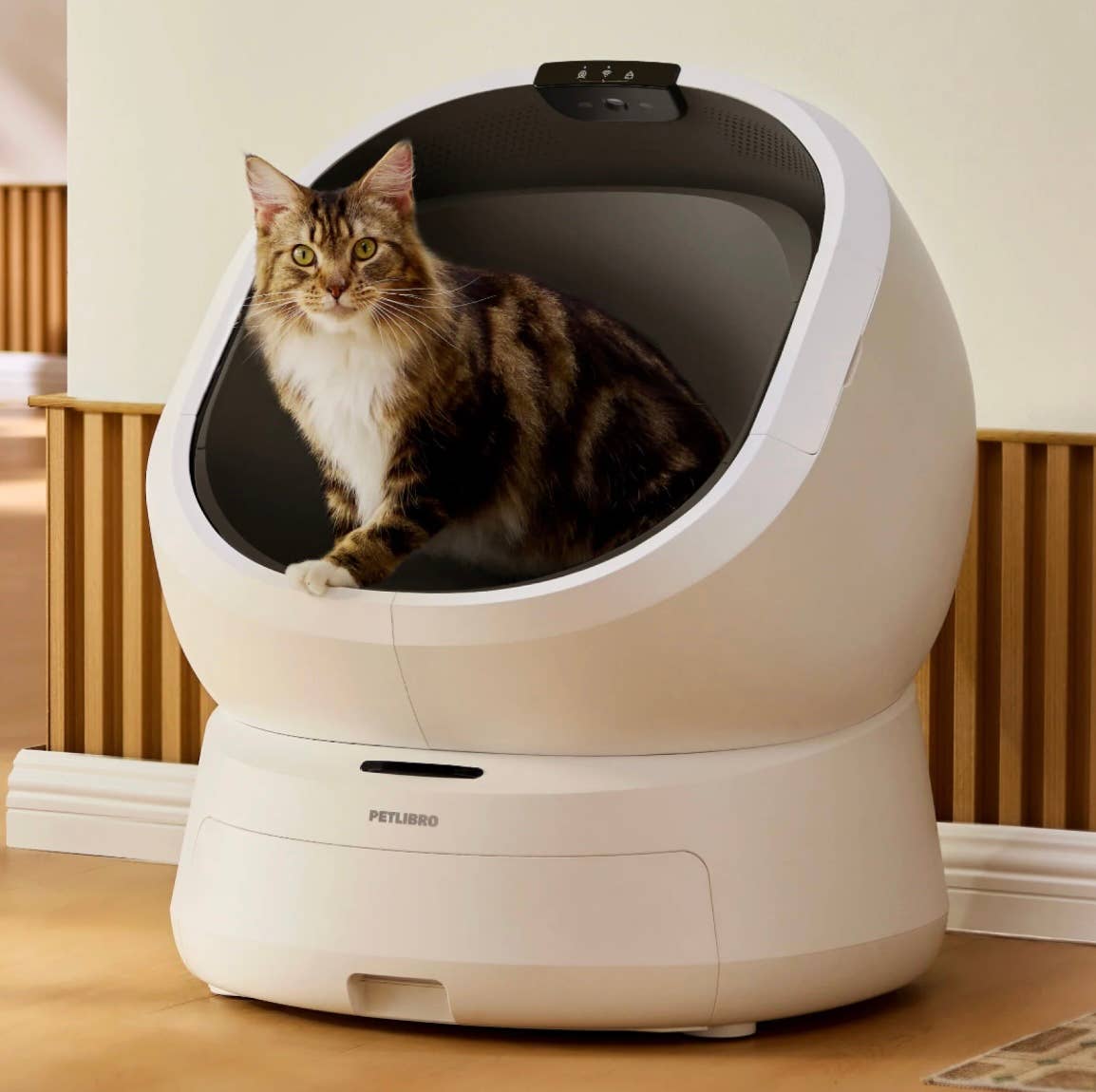 The Smart Litter Box Cat Parents Love - PetHelpful