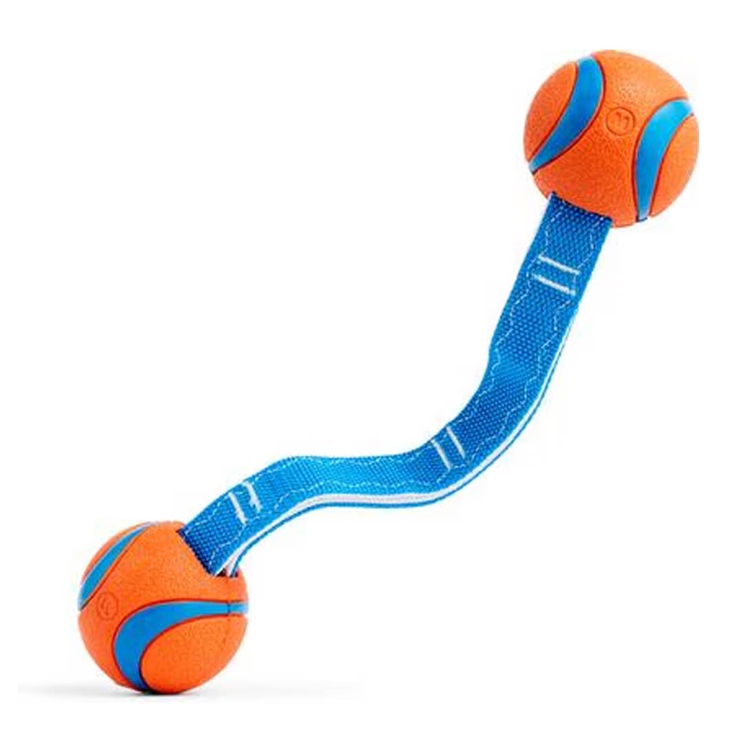 Chewy’s Chuckit! Ultra Duo Tug Dog Toy Is a Must-Have - PetHelpful