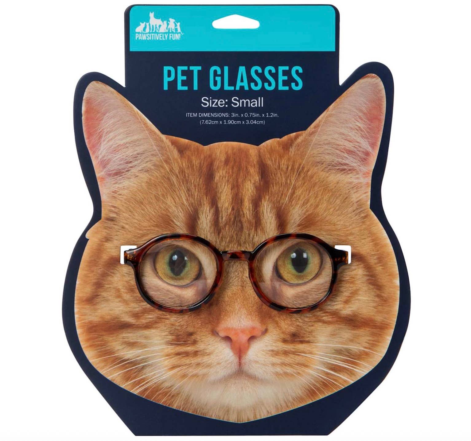 Adorable Pet Glasses Making Cats Look Like Professors - PetHelpful