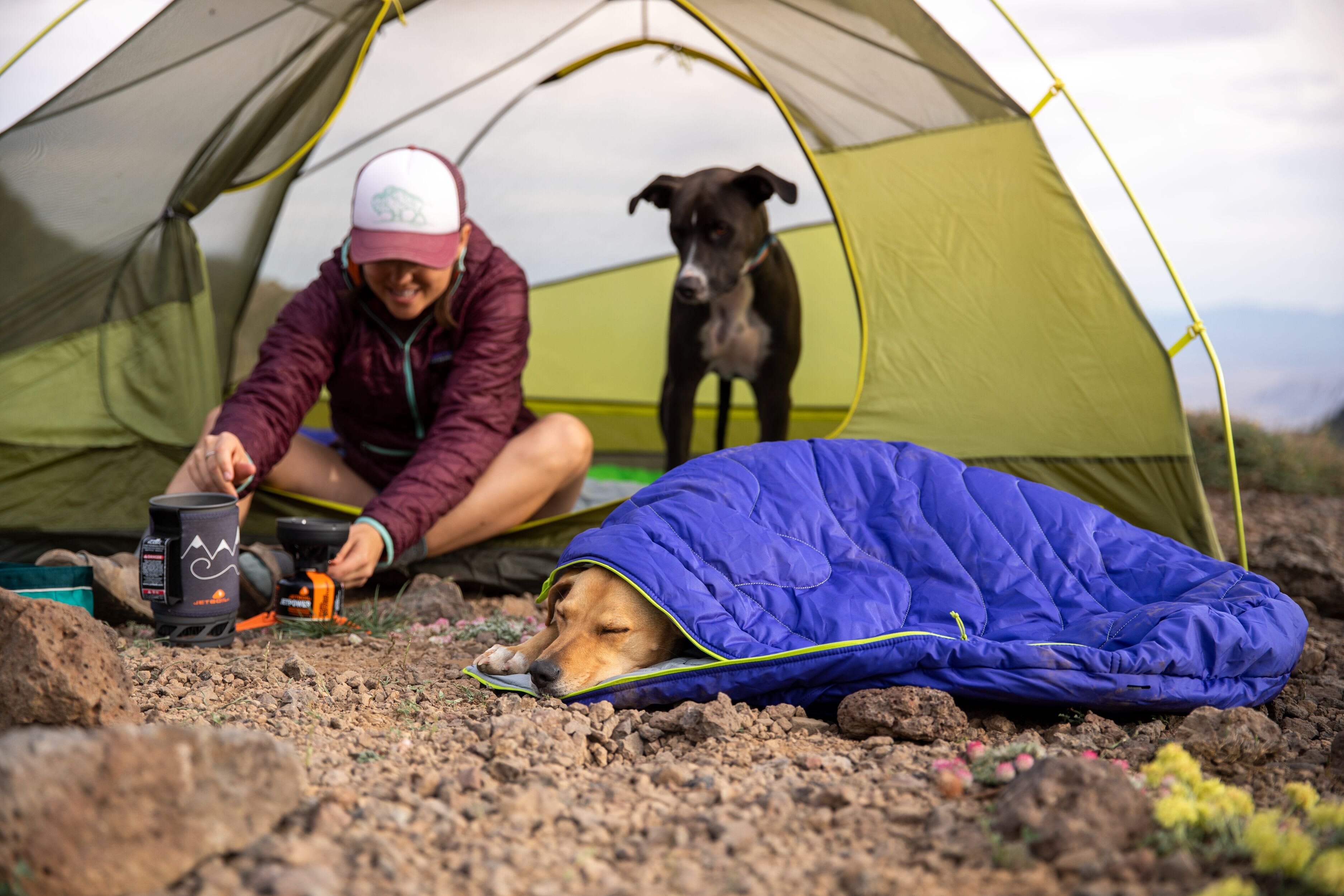 Adventure Dog Parents Love This Cozy Sleeping Bag From Ruffwear ...
