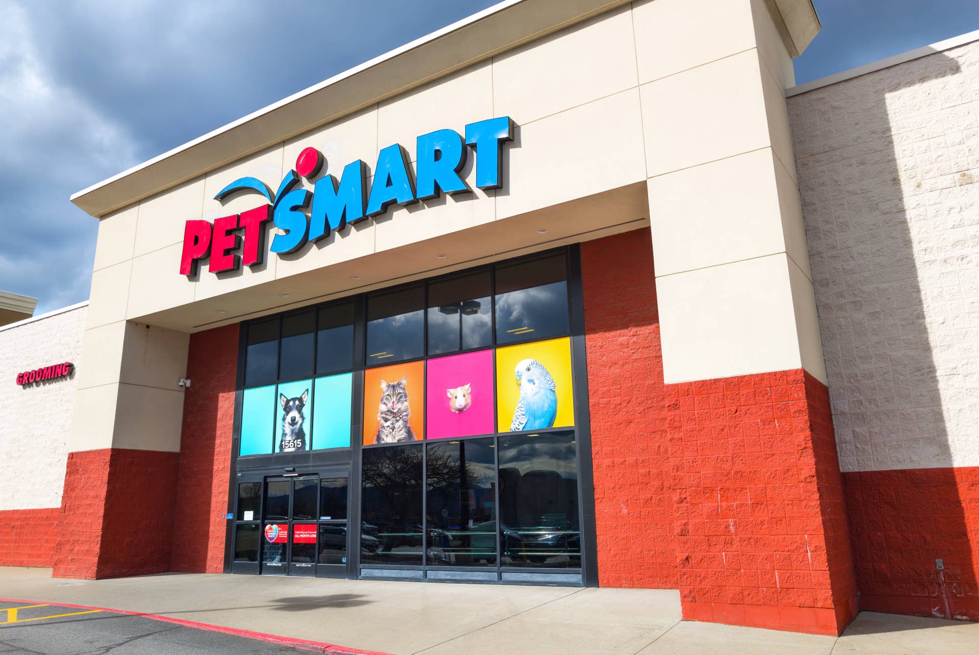 PetSmart's DJ Doggo Puzzle Feeder Keeps Your Dog Engaged - PetHelpful