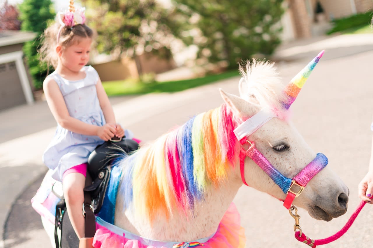 200+ Unicorn Names That Are Magical - PetHelpful