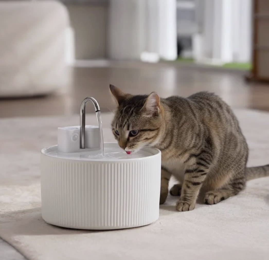 Costco’s Sleek Faucet-Style Pet Fountain Is a Hit - PetHelpful