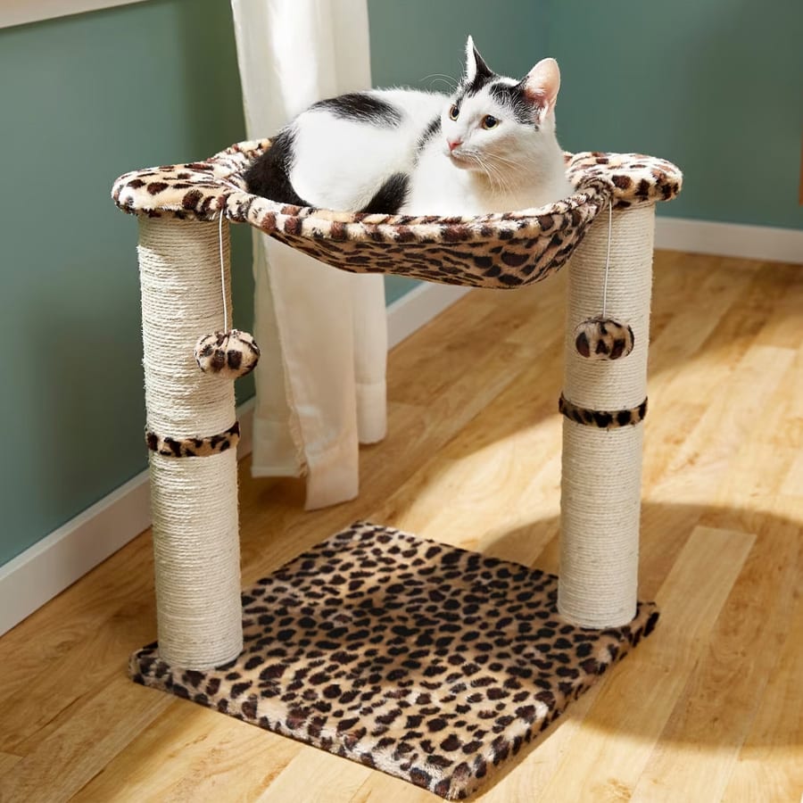 Chewy’s Frisco 20-Inch Faux Fur Cat Tree Is a Must-Have - PetHelpful