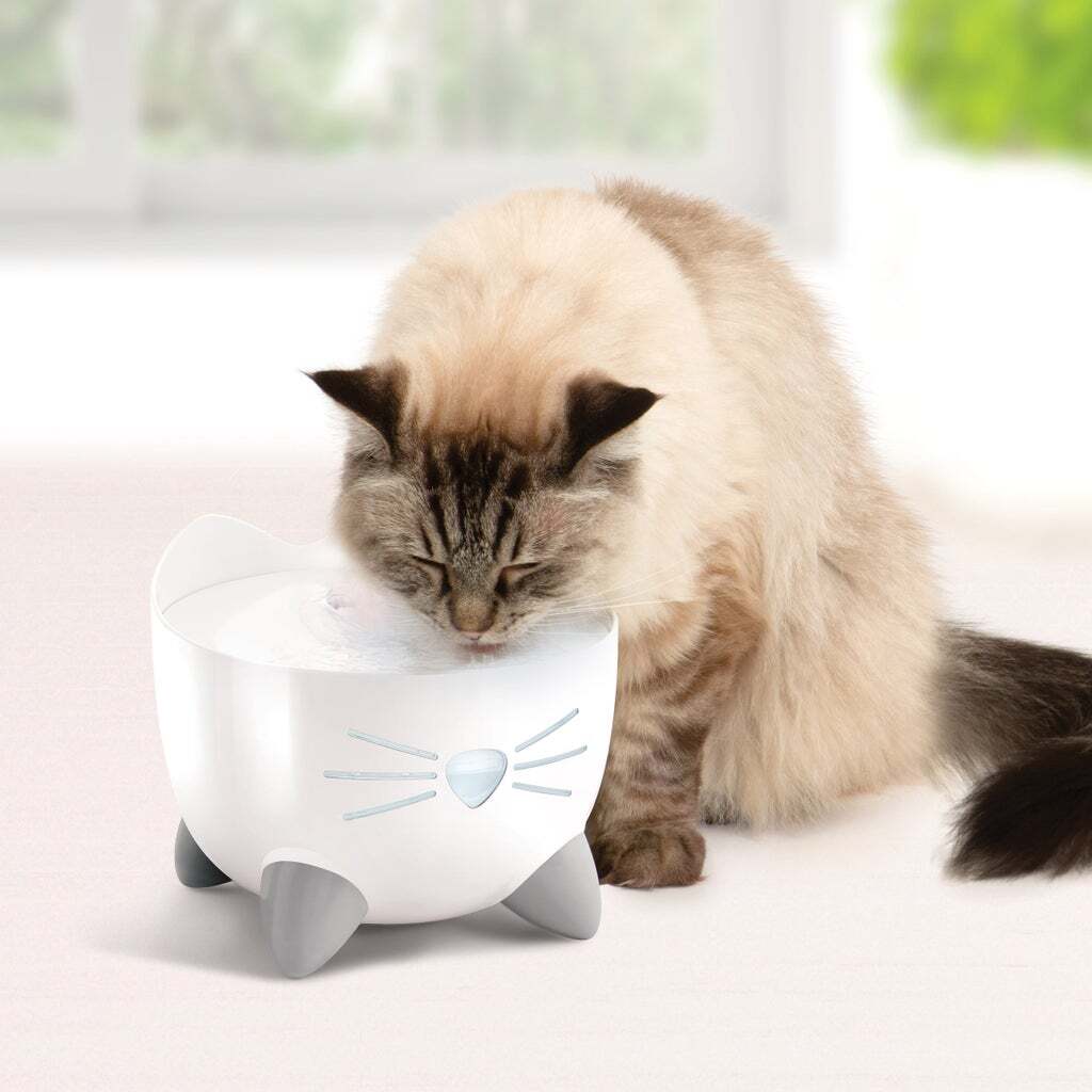 Costco Shoppers Swear by This Adorable Cat Fountain Set - PetHelpful