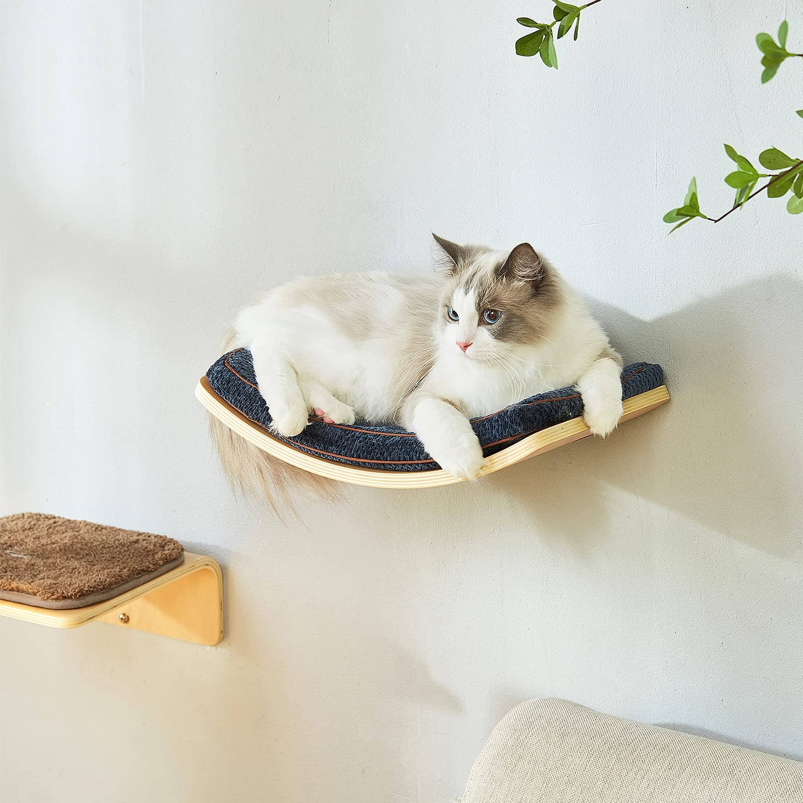 These Wall Shelves Give Indoor Cats Vertical Space Without Clutter ...