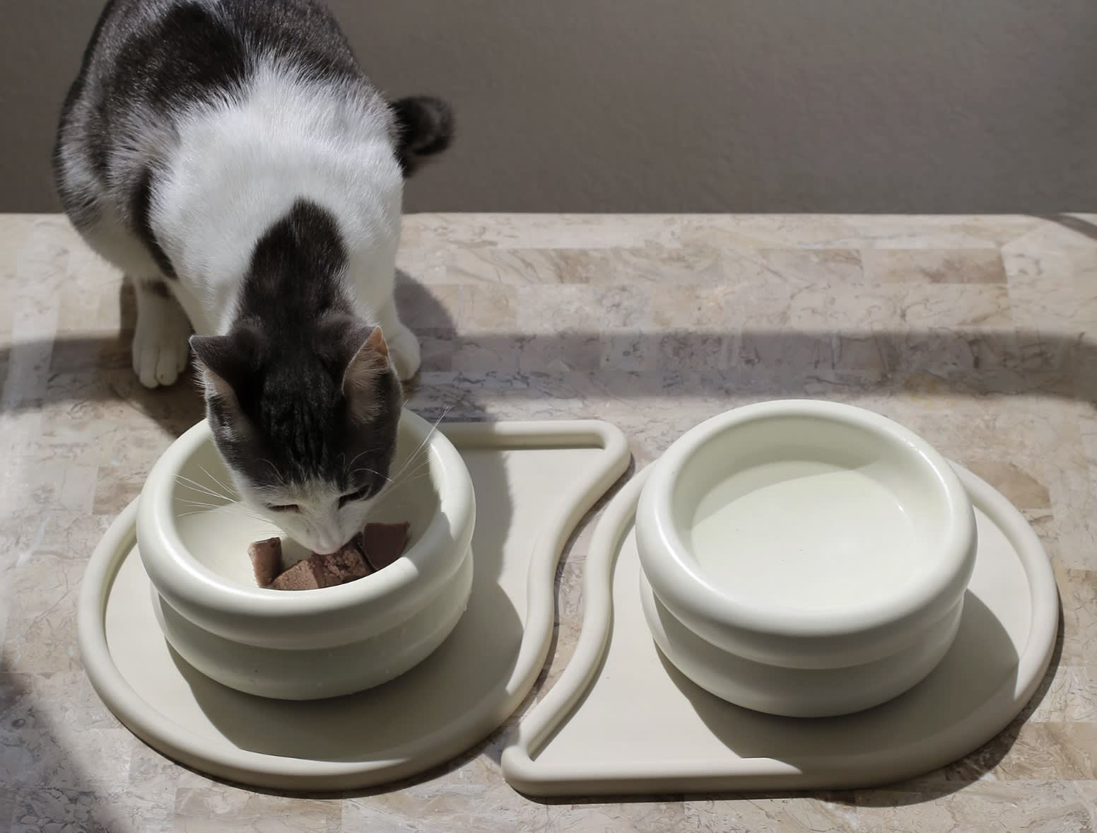 West Elm’s Stylish Feeding Mat Is a Favorite With Pet Parents - PetHelpful