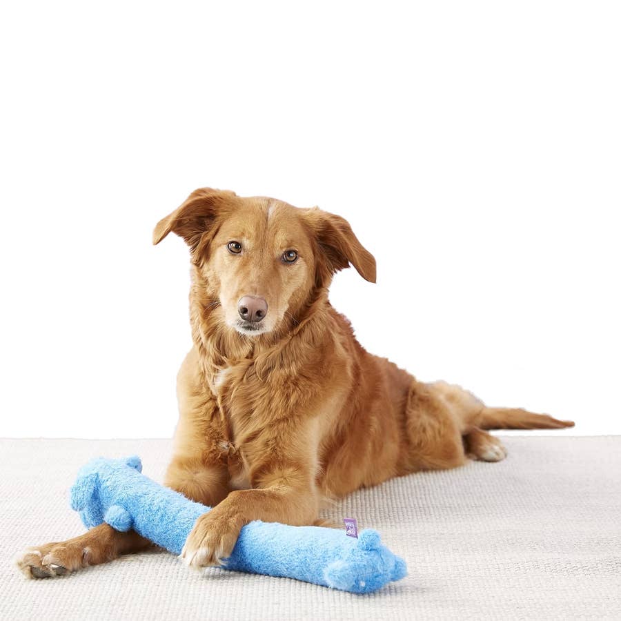 Chewy’s Multipet Loofa Dog Squeaky Dog Toy Is a Must-Have - PetHelpful