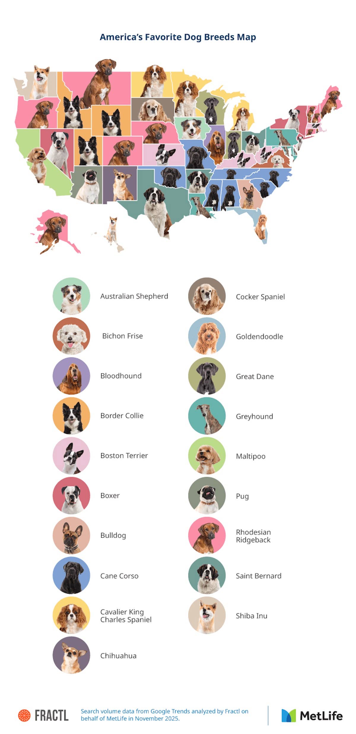 List of America's Most Popular Dog and Cat Breeds By State in 2026 ...
