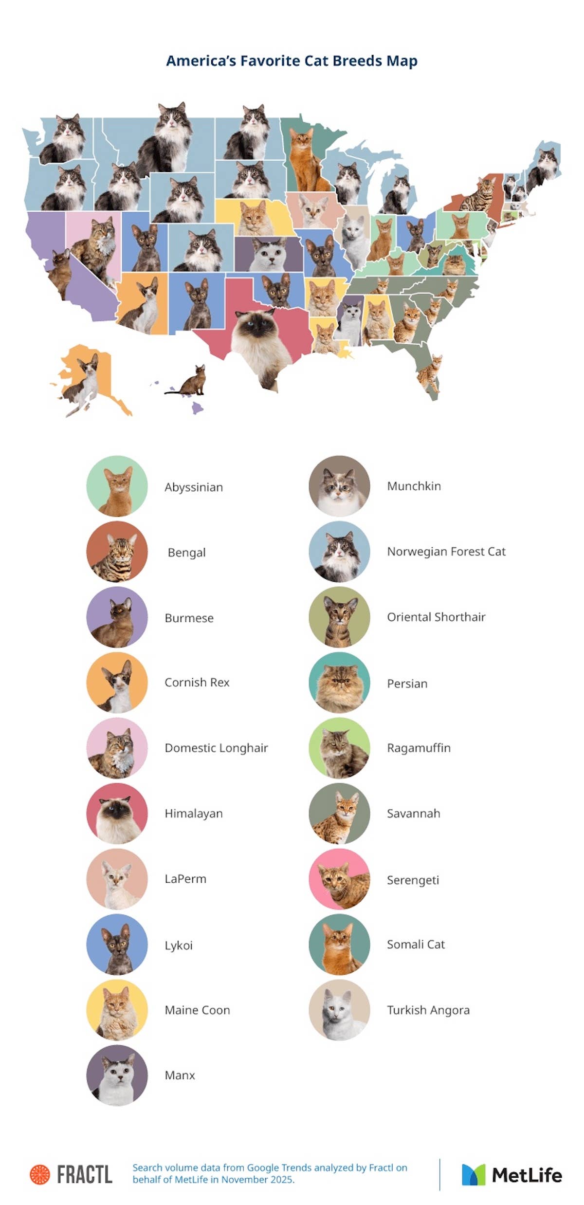 List of America's Most Popular Dog and Cat Breeds By State in 2026 ...