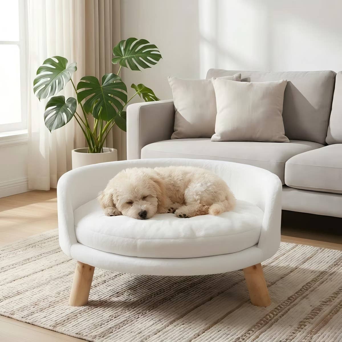 Pet Parents Love This Adorable and Stylish Elevated Dog Bed at Target ...