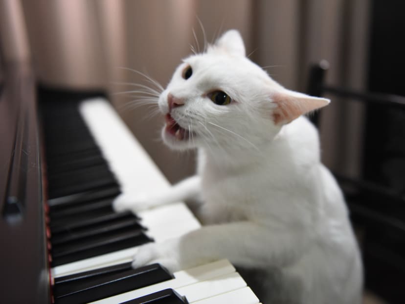 9 - SCIENCE - JoanMira: ASTRONOMY - Star Formation in the Pacman Nebula